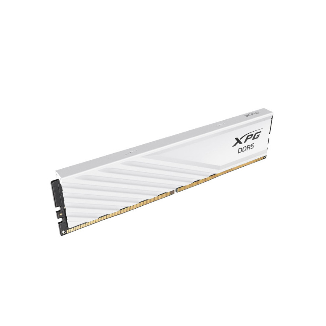 Buy Adata XPG Lancer Blade 16GB (16GBX1) DDR5 5600MHz Memory - White at ...