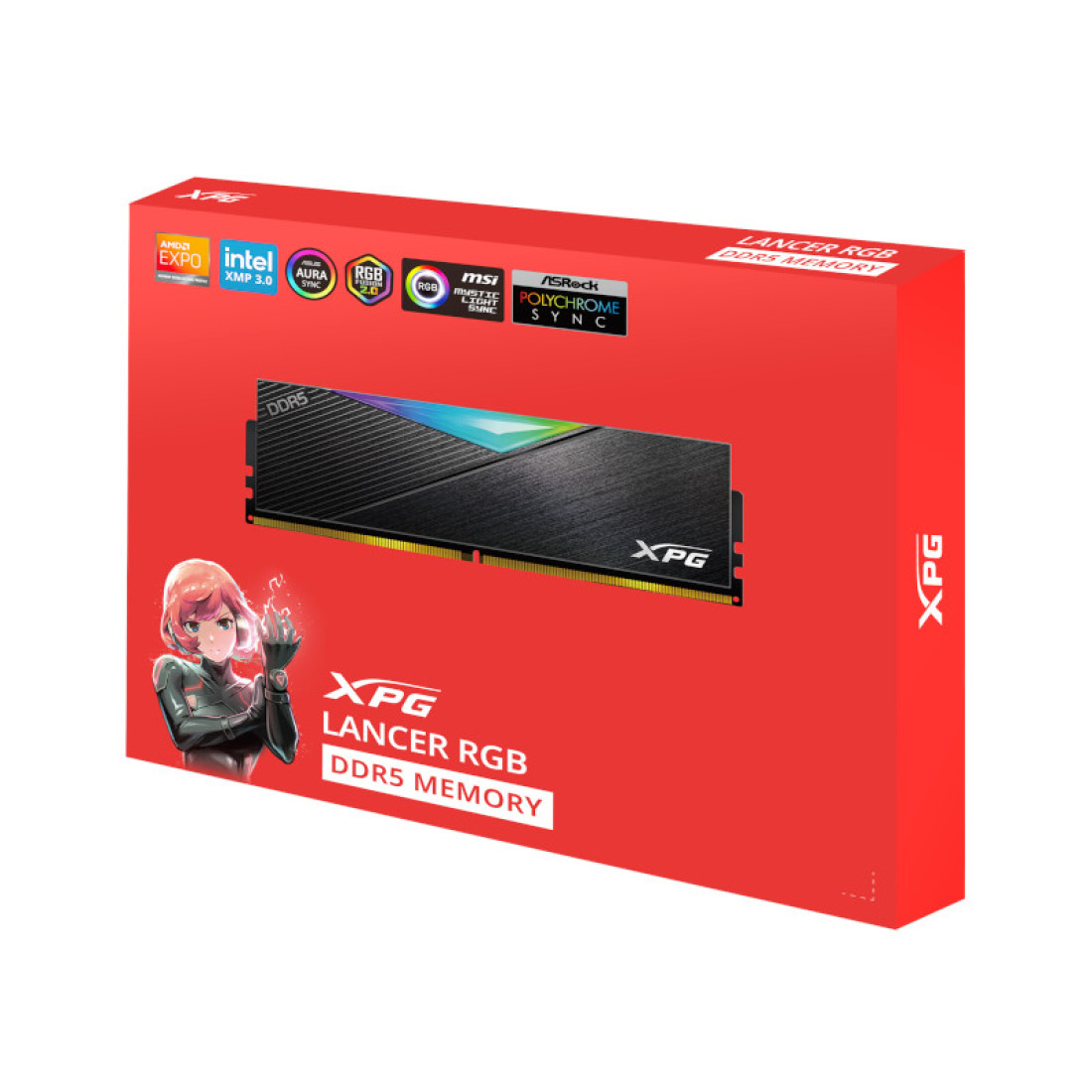 Buy Adata XPG Lancer RGB 32GB (16GBX2) DDR5 6000MHz AX5U6000C3016G ...