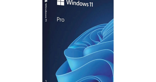 Buy Microsoft Windows 11 Pro 64-bit OS English USB Stick at Best Price ...